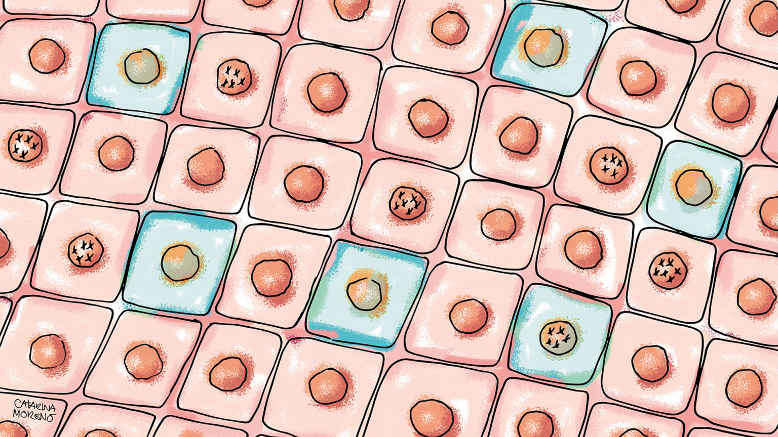 Our body is a mosaic of cells with genetic mutations - Pretty Smart Science